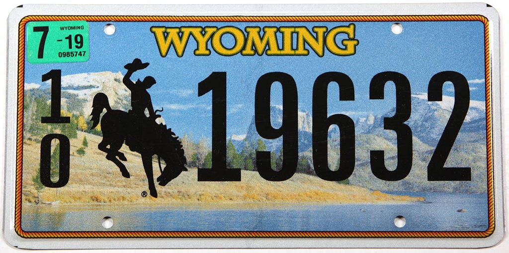 2019 Wyoming License Plate | Brandywine General Store