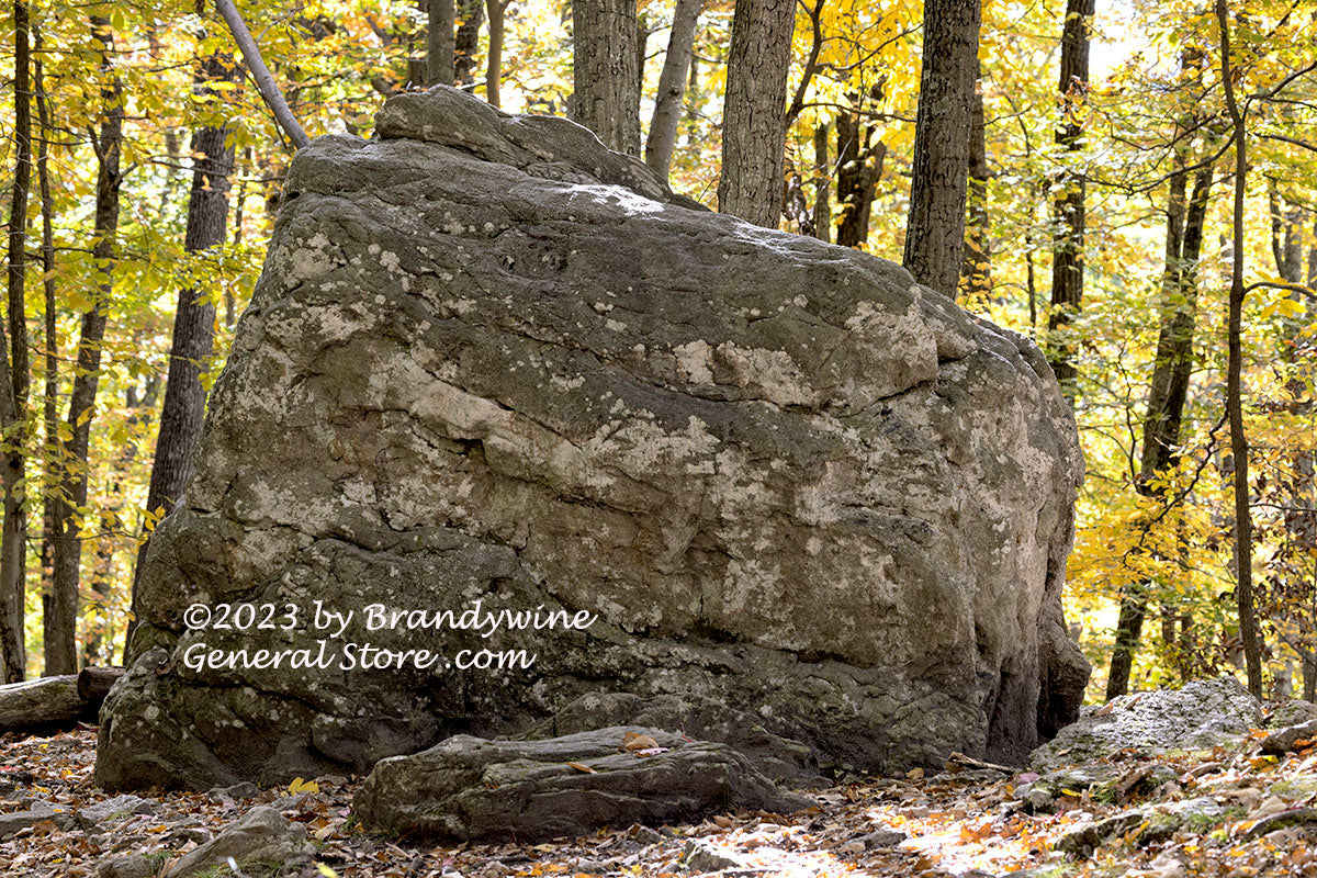 Large Boulder on Seneca Rocks Trail art print | Brandywine General Store