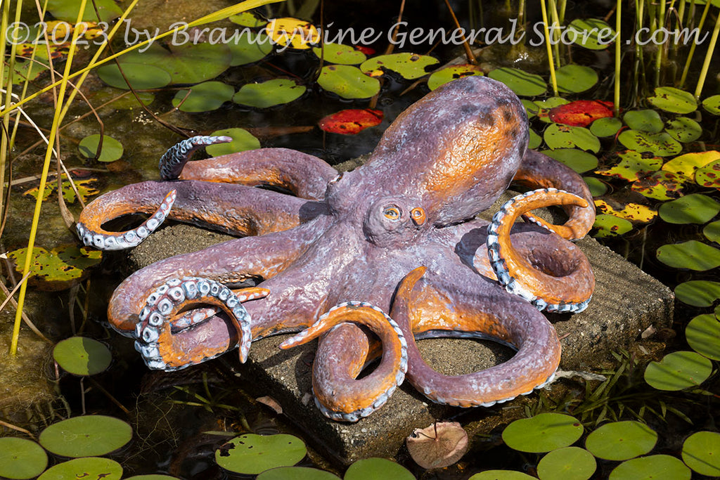 An Octopus in the Lily Pond at NCU art print | Brandywine General Store
