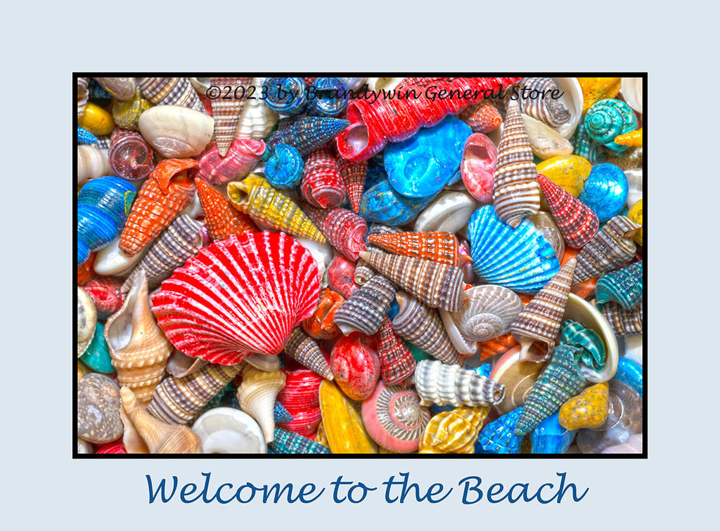 Rainbow of Painted Sea Shells premium poster | Brandywine General Store