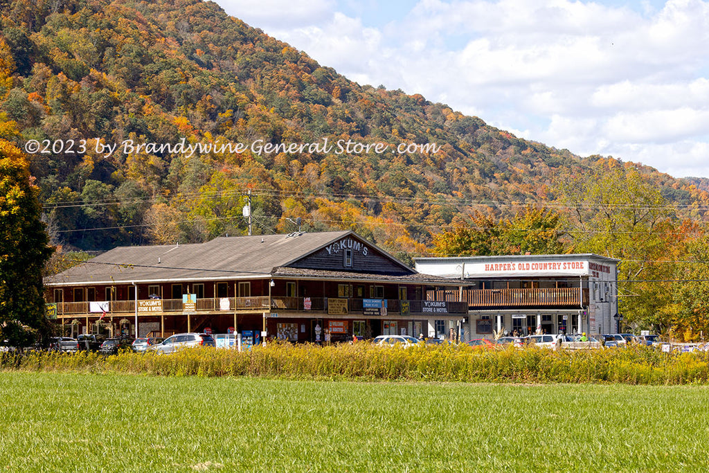 Seneca Rocks WV Downtown art print | Brandywine General Store