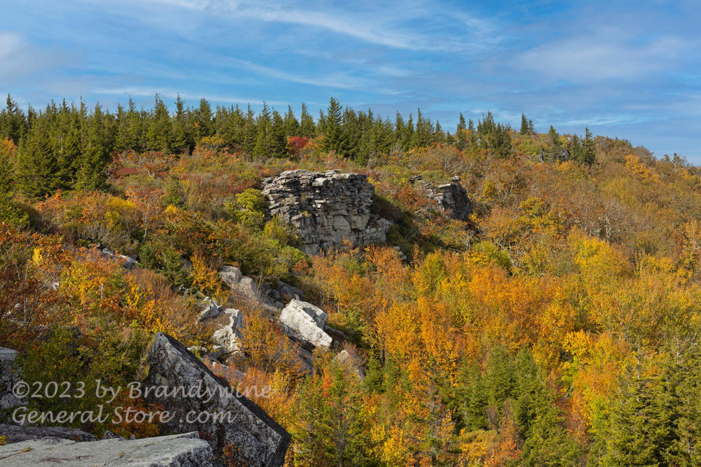 Small Rock Ledge in Middle of Fall Colors art print | Brandywine ...
