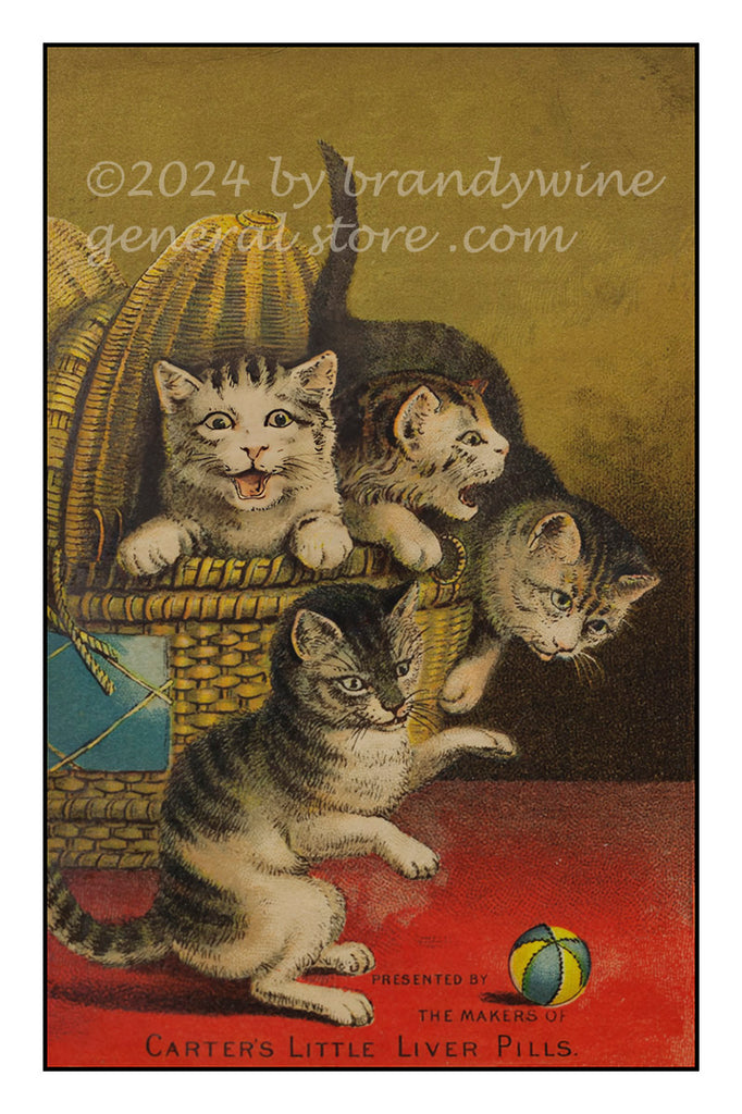 Carters Little Liver Pills with Kittens antique ad art print ...