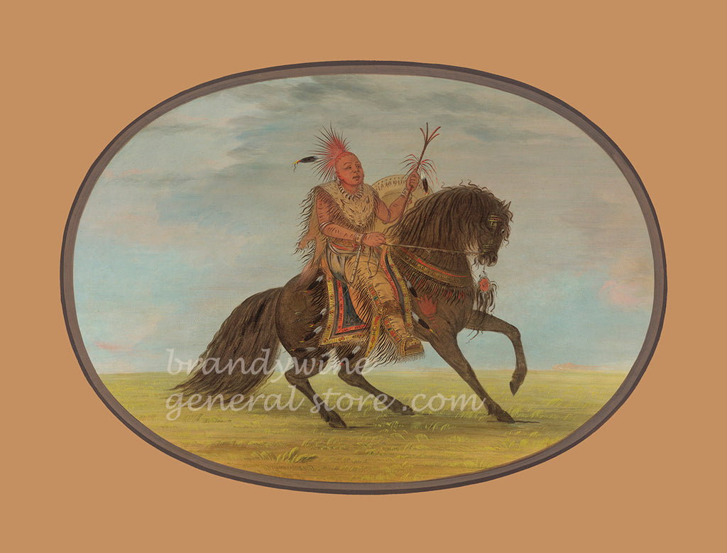 Catlin George - The Running Fox on a Fine Horse - Saukie art print ...