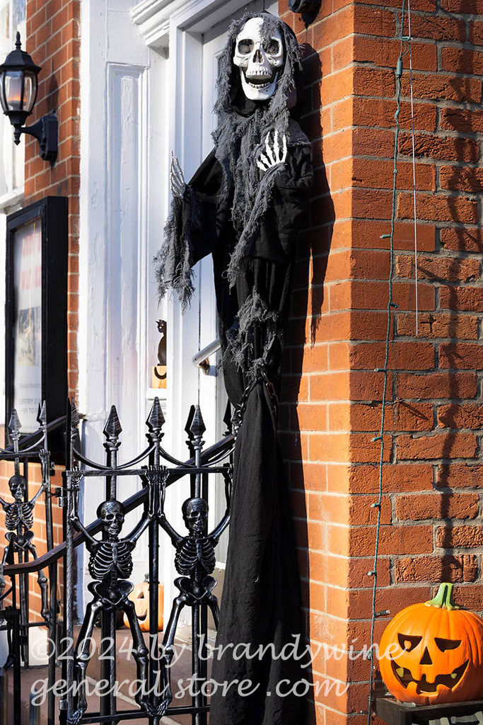 Halloween Witch Skeletons Black Cat art print | Brandywine General Store