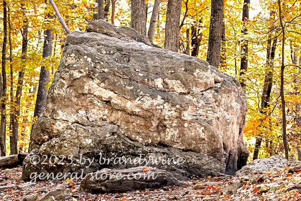 Large Boulder on Seneca Rocks Trail art print | Brandywine General Store