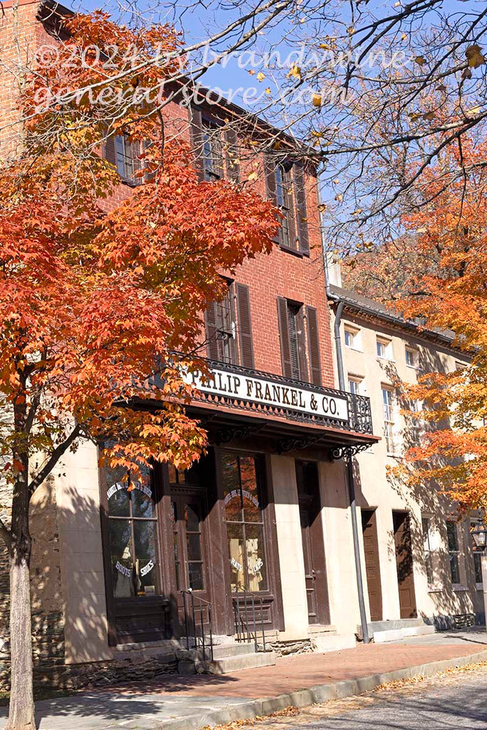 Philip Frankel Building in Fall Colors art print | Brandywine General Store