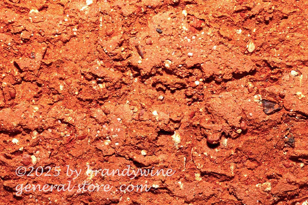 Red textured brick art print | Brandywine General Store