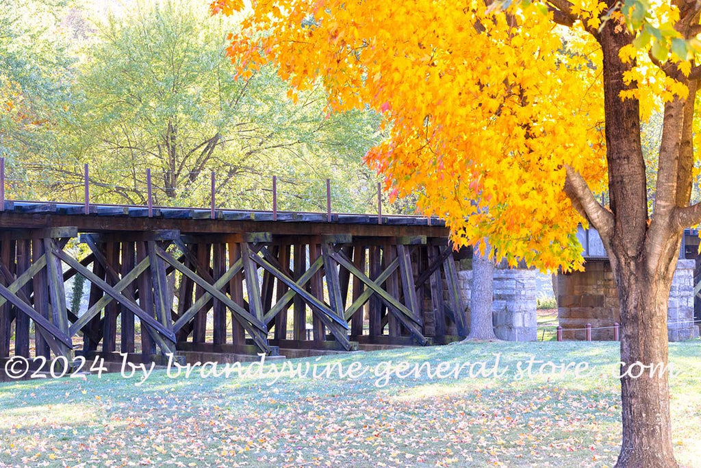 Train Trestle and Yellow Fall Tree Harpers Ferry National Park print ...