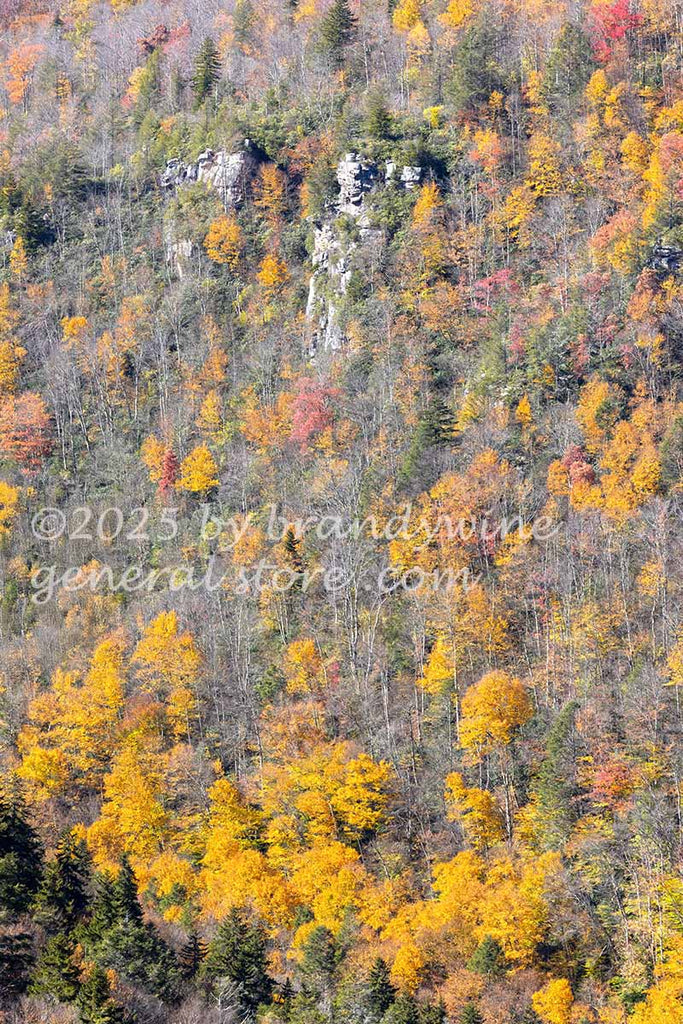 Rugged walls of Blackwater canyon WV in late autumn art print ...