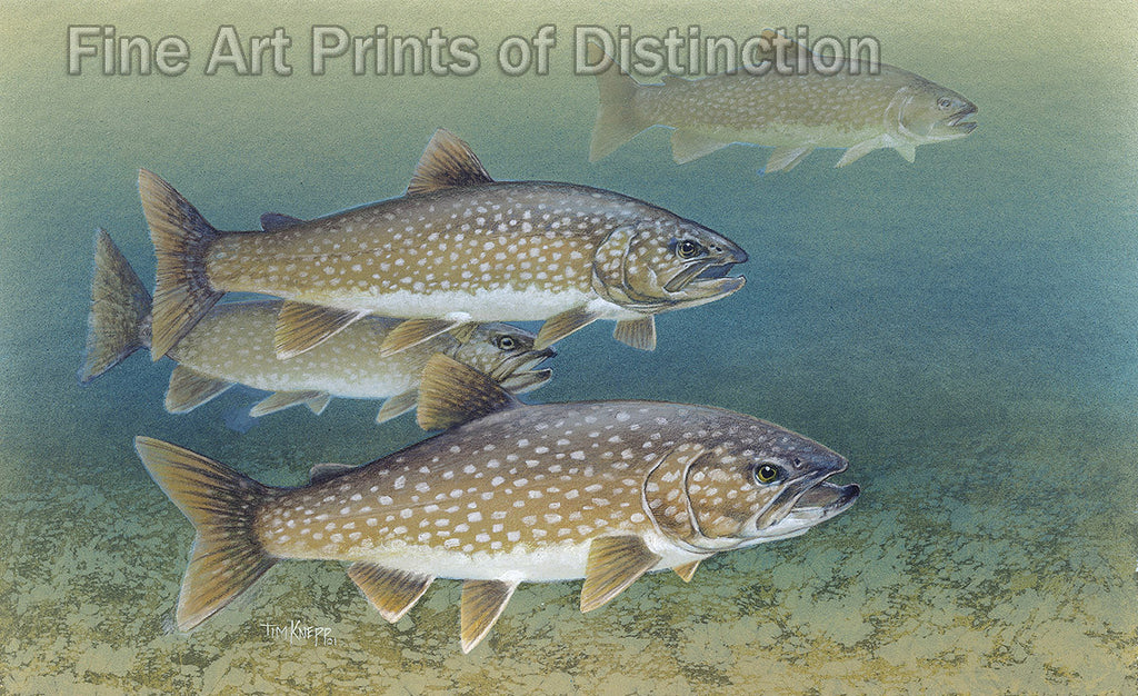 Knepp Tim - Lake Trout Fine Art Print | Brandywine General Store