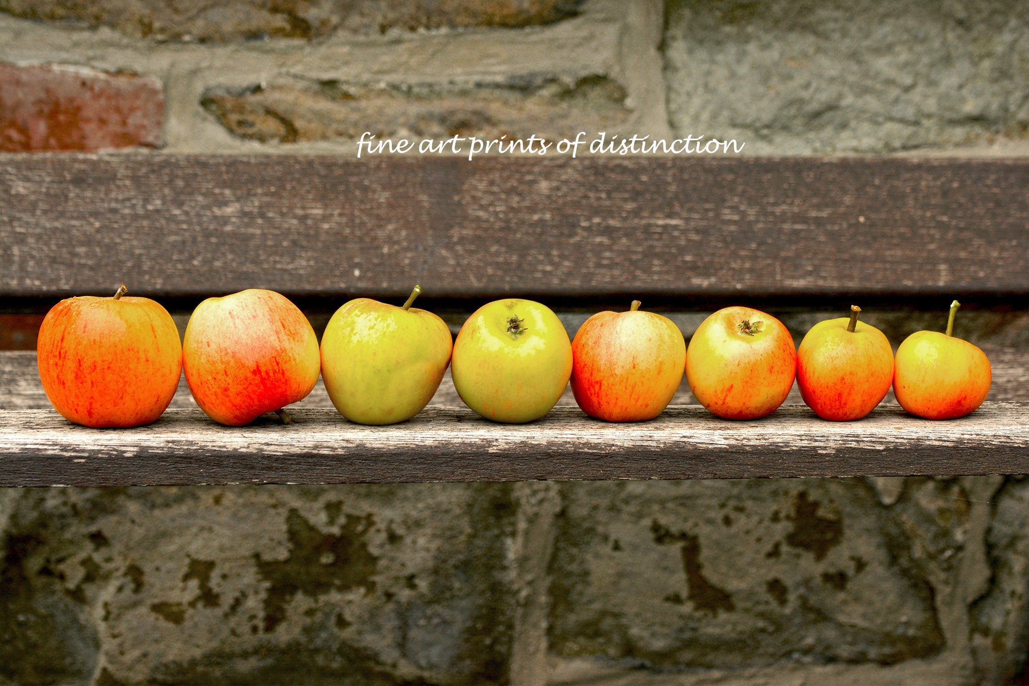 Apple Family Art Print | Brandywine General Store