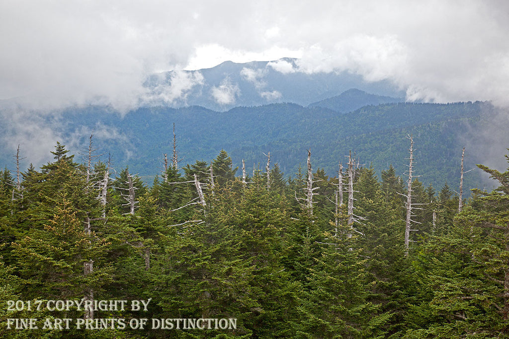 Western View from Clingmans Dome Observation Tower Art Print ...