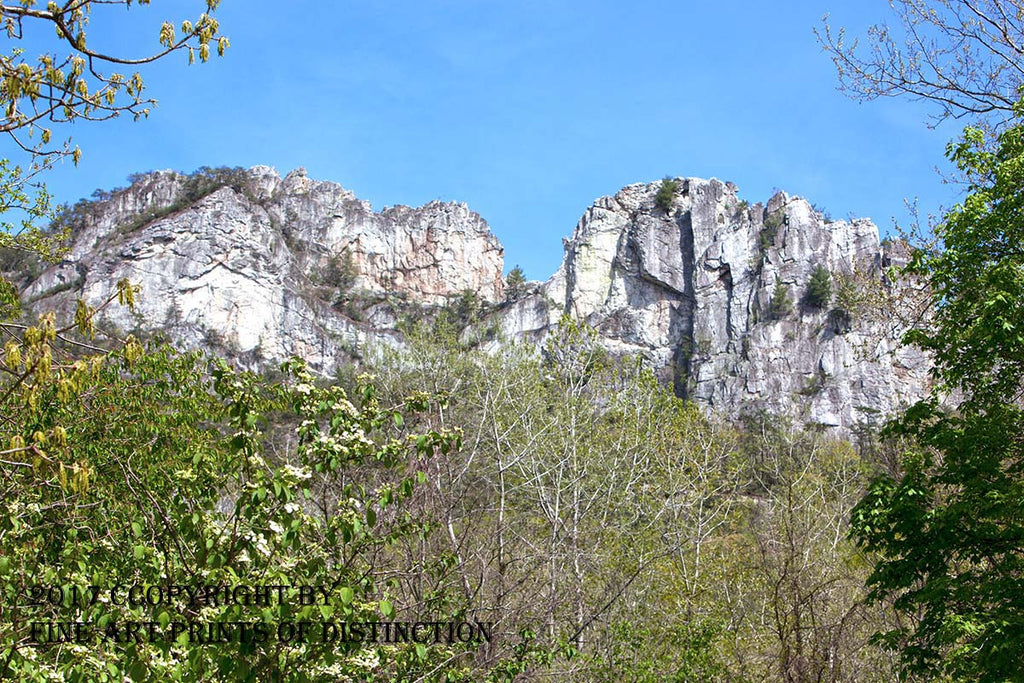 Seneca Rocks Framed with Viburnum & Trees Art Print | Brandywine ...